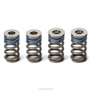 Pro Circuit Valve Springs - YZ250F '17-18 : Tokyomods