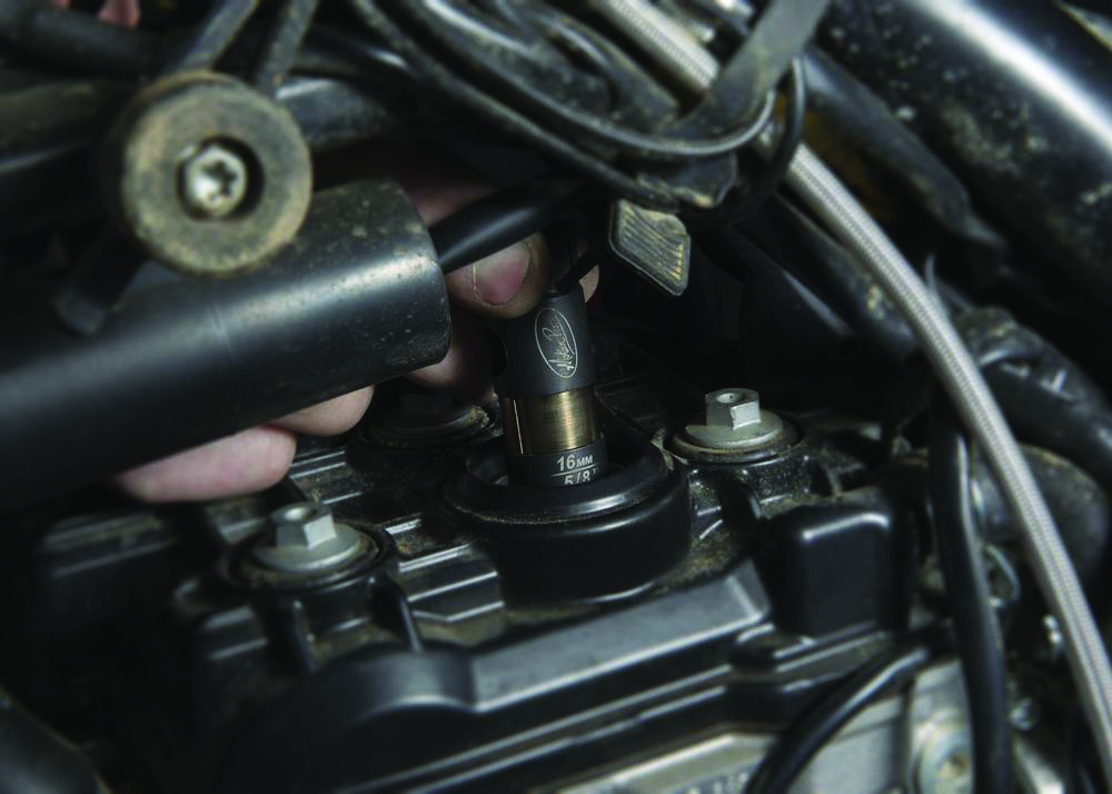 MOTION PRO 16MM PRO PLUG SOCKET : Tokyomods